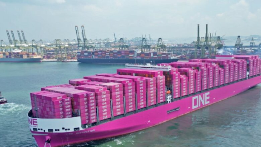 MSC bắt tay với ONE, HMM và Yang Ming: Bức tranh liên minh hãng tàu thay đổi kể từ đầu năm 2025 ...